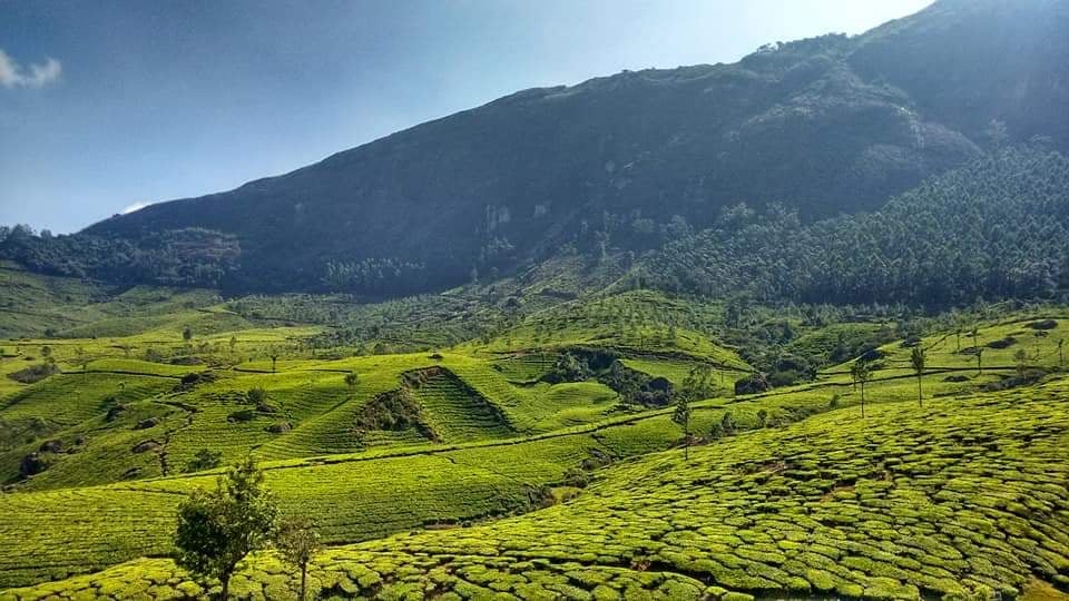 Munnar | Misty weather makes it the common places to visit in Kerala