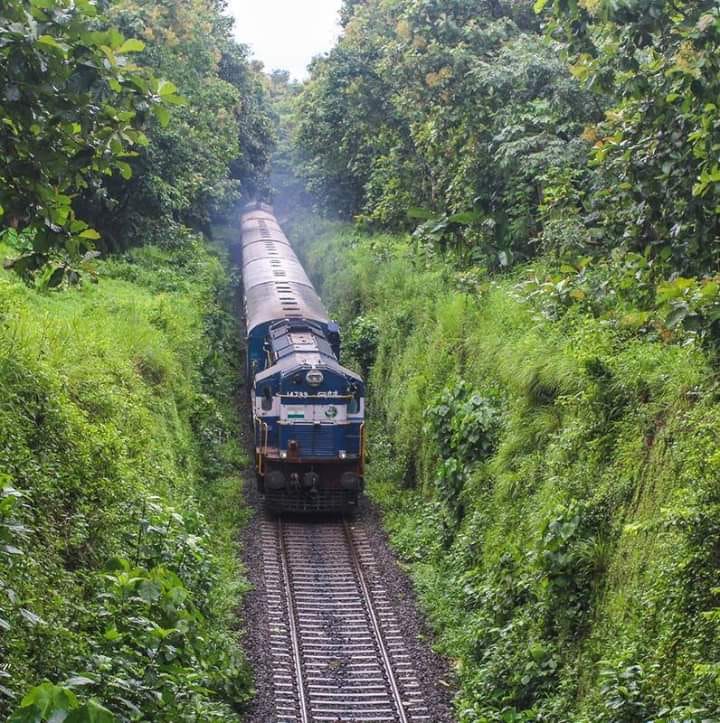 Nilambur, a natural beauty in Kerala - BillionTrips