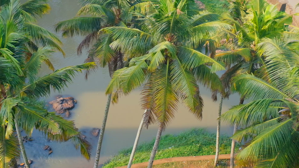 അത്ഭുതമായി കന്യാകുമാരിയിൽ ഒരു പാലം | South Asia's Longest Hanging ...
