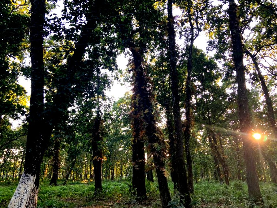 Explored the Unexplored