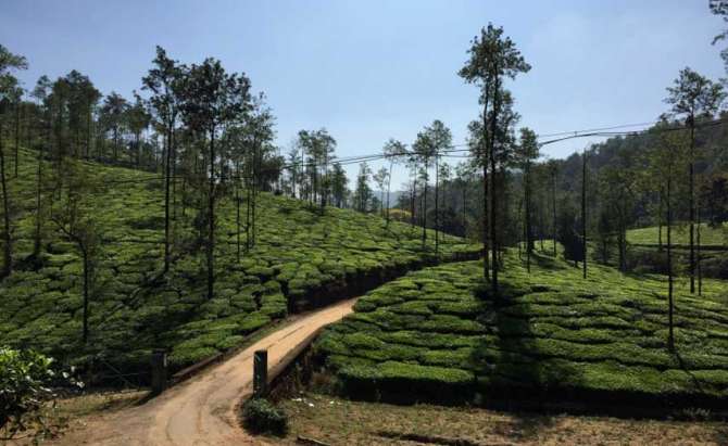 Vagamon | BillionTrips: Explore New Places, Share Travel Tips, Enjoy ...