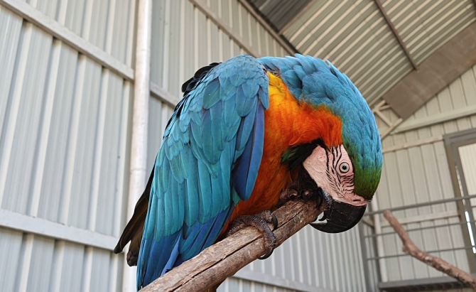 Peeku Park - A must visit place in Yercaud