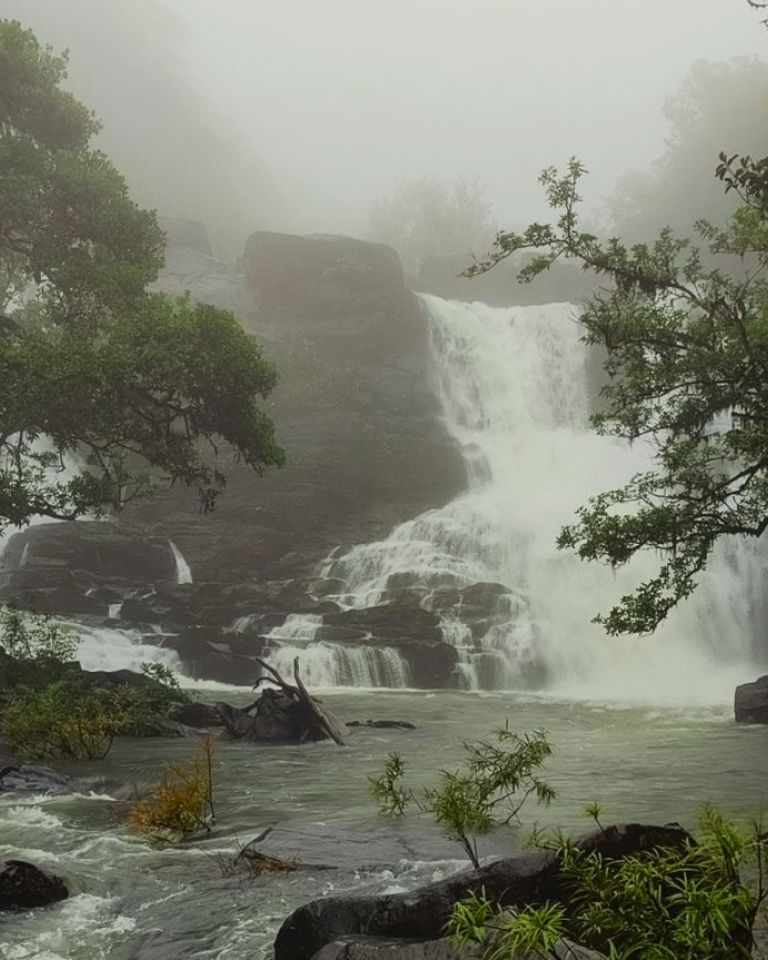 BillionTrips: Explore New Places, Share Travel Tips, Enjoy Tour Guide